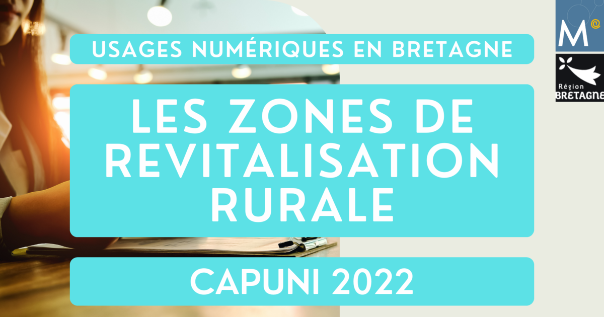 Usages numériques en Bretagne : les zones de revitalisation rurale à la ...